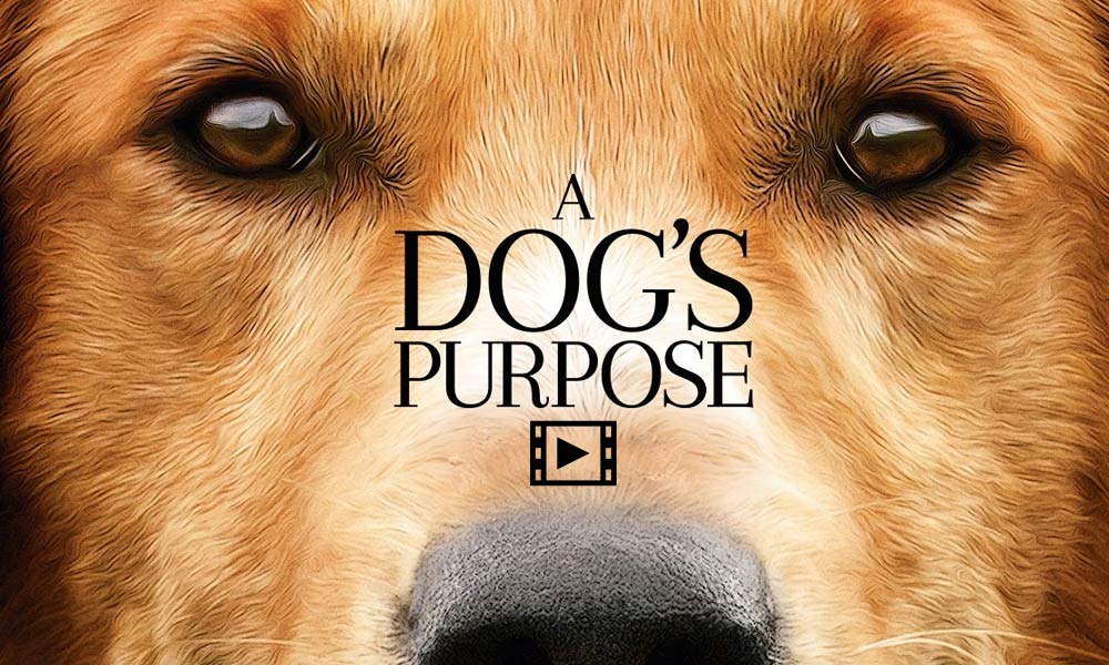 MOVIE A Dogs Purpose | January 31 - Mount Carmel Senior Living